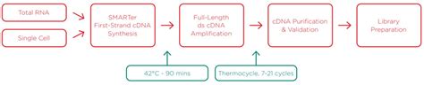 Echo System Enhanced SMART Seq V4 For RNA Sequencing