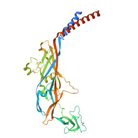 Rcsb Pdb 9c48 Cryo Em Structure Of The Full Length Human P2x4