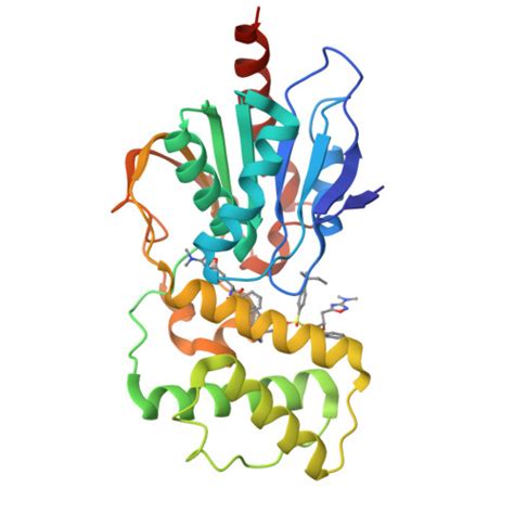 Rcsb Pdb 8try Crystal Structure Of Mtb Pks13 Thioesterase Domain In Complex With Inhibitor X20348