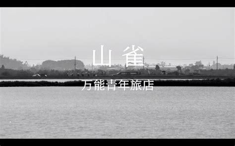 万能青年旅店《山雀》x国产文艺电影混剪哔哩哔哩bilibili