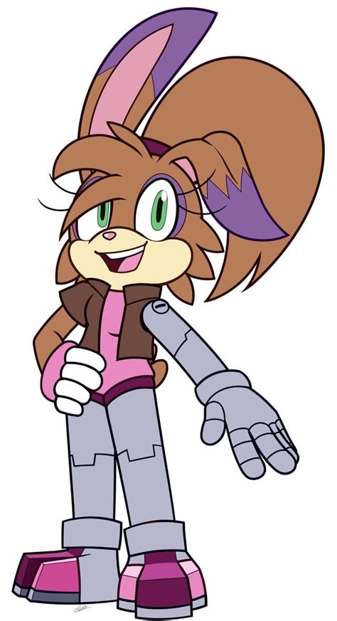 Idwgame Canon Sally Acorn And Bunnie Rabbot Ridwsonic