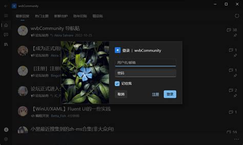WinUI XAMLFluent UI的一些实践 wvbCommunity
