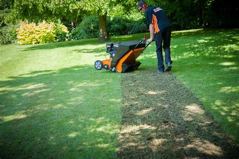 Le Moyen Le Plus Rapide Dobtenir Un Gazon Sain Et Vert