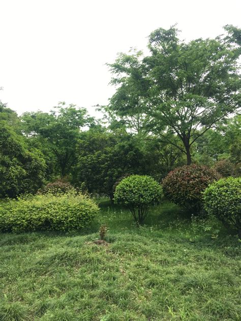 东方润园图片相册东方润园户型图样板间图装修效果图实景图 杭州房天下