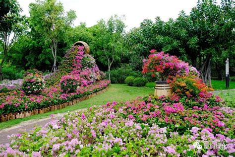 早谋划、早准备，全力做好九八绿化花化彩化保障 湖滨 9月3日，已完成市府大道外国语学校旁绿地、鹭江道中分带调头区、湖滨中路筼筜书院对面绿地