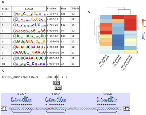Enriched Sequence Motifs Within Heat Responsive LncRNAs A Ten Motifs