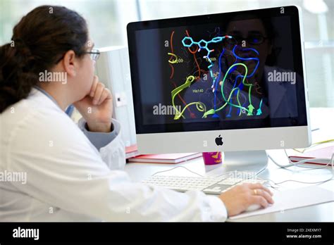 Docking D Computational Model To Simulate The Molecular Dynamics Of