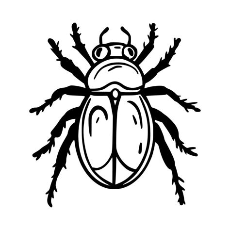Doodle Bug Insect A Magical Object Sketch 46709760 Vector Art At