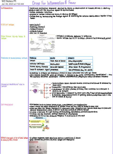 Week 1 Notes Class NURS 304 Studocu