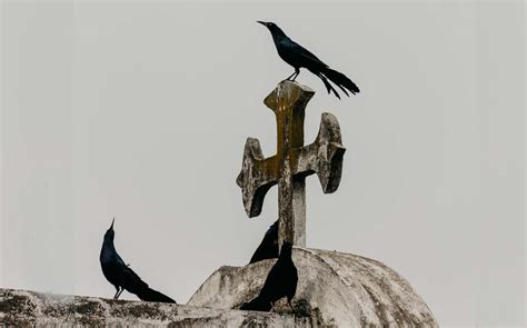 Qué Significa Soñar Con Tu Muerte Grupo Milenio