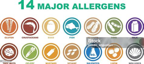 Set Of Major Allergens Icons Stock Illustration Download Image Now