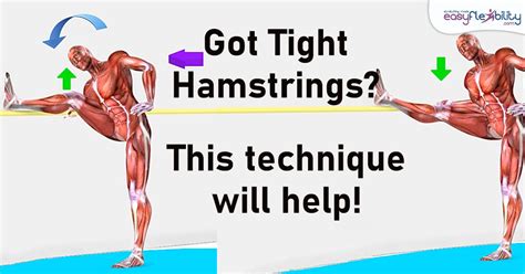 Tight Hamstrings Are Your Hamstrings Very Tight This Special Stretching Technique Will Release