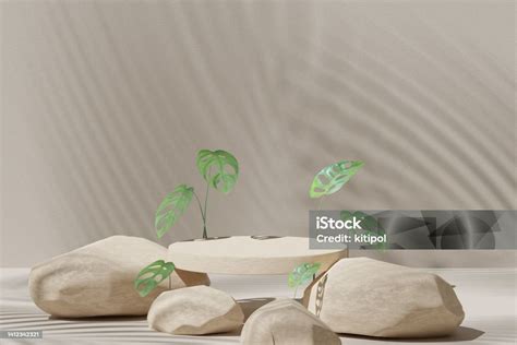 벽에 가지와 그림자가있는 추상적 인 기하학적 구성 자연석 계단 받침대 3d 렌더링 전시회를 위해 모의하십시오 0명에 대한 스톡 사진 및 기타 이미지 Istock