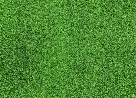 Green Grass Texture Background Grass Garden Concept Used For Making