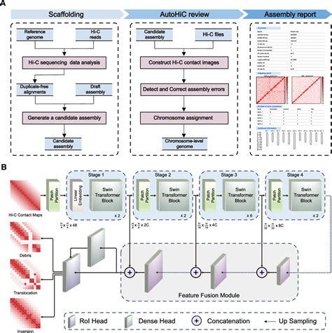 Figure 1 From A Deep Learning Based Method Enables The Automatic And
