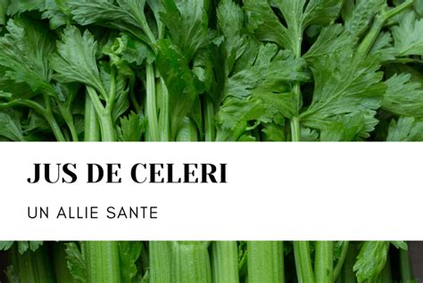 Blog endométriose solutions naturelles