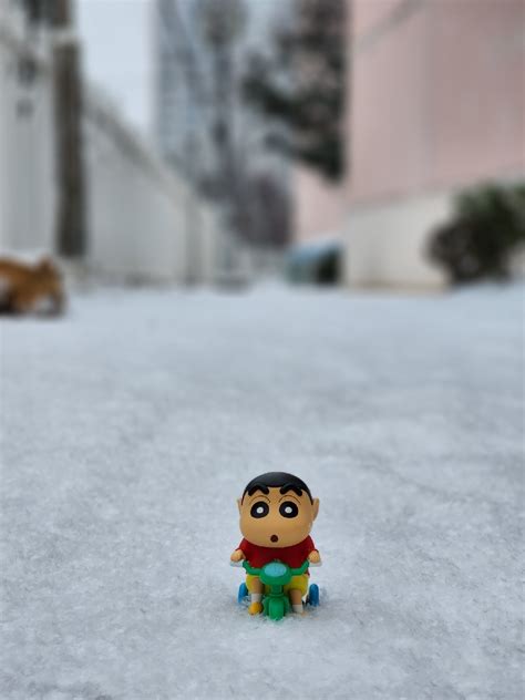 자전거 타는 짱구 콜리colley