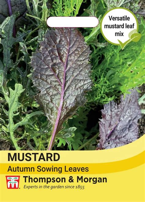 Mustard Leaves Autumn Sowing Cowells Garden Centre Woolsington