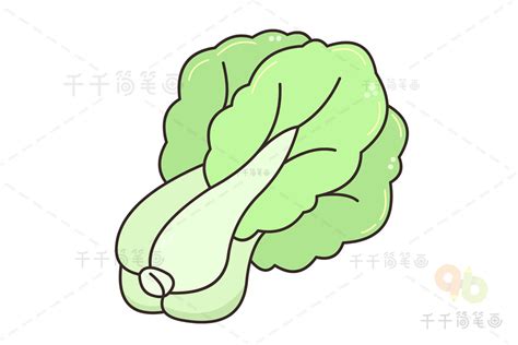 怎样画白菜 一步一步 简笔画 大山谷图库