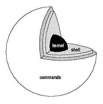 What Is The Exact Difference Between A Terminal A Shell A Tty
