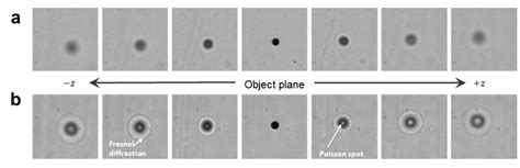 Supplemetary Figure 5 Non Gaussian Blurring Of A Calibration Target Download Scientific