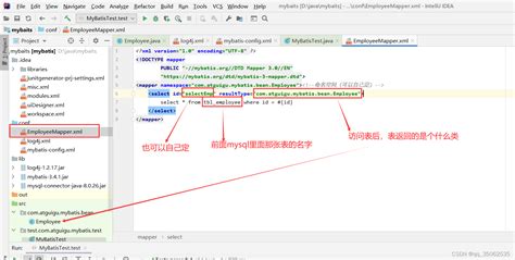 雷丰阳 MyBatis视频教程03 mybatis与mysql连接过程 CSDN博客