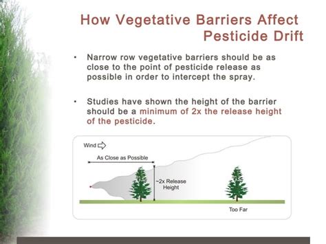 Vegetative Barriers To Spray Drift Ppt