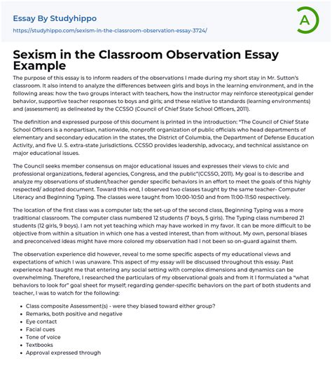 Sexism In The Classroom Observation Essay Example