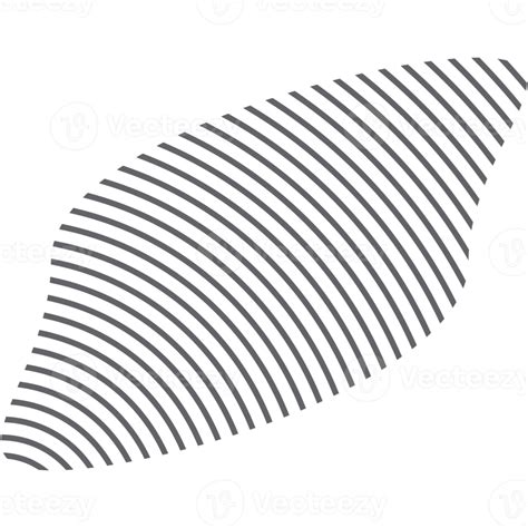 Aesthetic Classic Line Basic Shape 17171409 Png