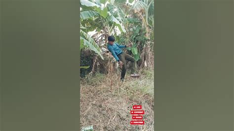 😂🤣বন্ধু যখন 2 পেক খায় তার অবস্থা🤣😂 Funny Comedyvideo Comedy