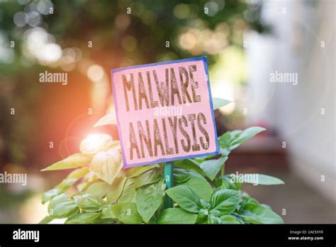 Writing Note Showing Malware Analysis Business Concept For Performs
