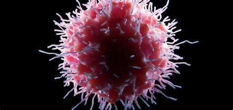 Fighting Cancer Through CAR NK Cell Therapy