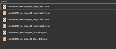 Bids Sometimes Recognizes Fmap Files · Issue 208 · Pennlincqsiprep