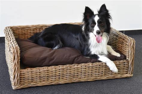 Rotan Hondenmand Met Kussen 90cm Bol