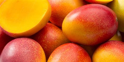 Mango Entrena Con Ainhoa