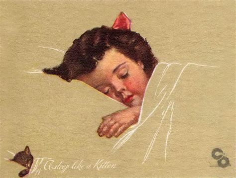 Asleep Like A Kitten Drawing By Guido Gruenwald Fine Art America