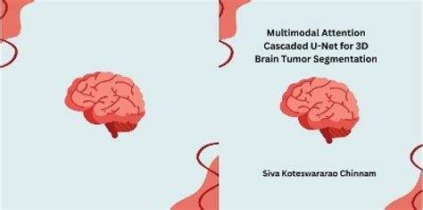 Multimodal Attention Cascaded U Net For 3d Brain Tumor Segmentation