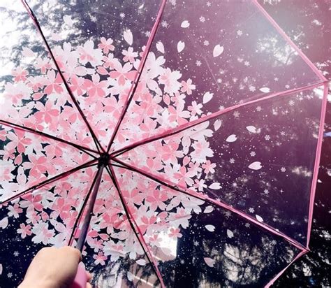 4 Colors Sakura Sun Rain 3 Fold Clear Umbrella Sp167530 Clear