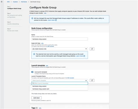 Introducing Launch Template And Custom Ami Support In Amazon Eks Managed Node Groups Containers