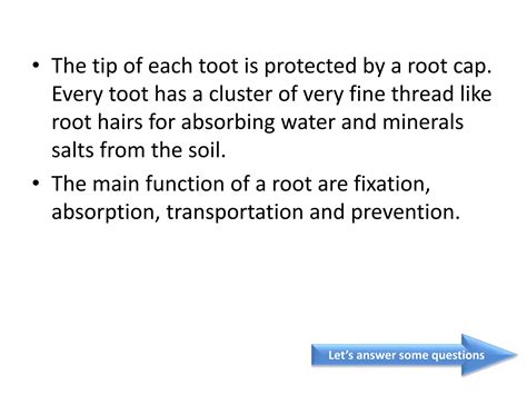 Programed Instructional Material The Root System Pptx