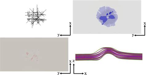 Matrix Cracks Top Left Delamination Top Right Fibre Fracture Download Scientific Diagram