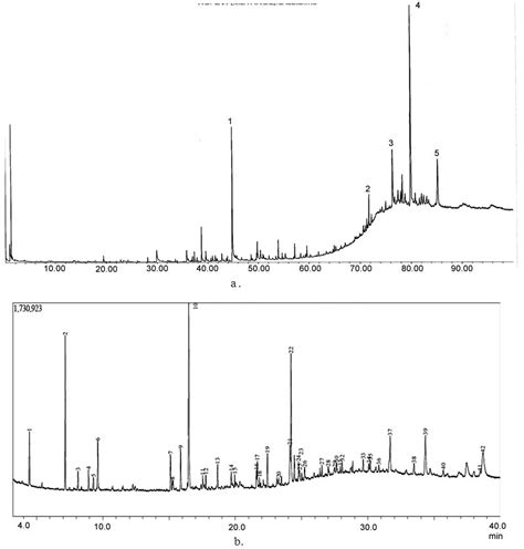Gcms Spectra Of Cacao Peels A Crude Extract And B Polar Extract