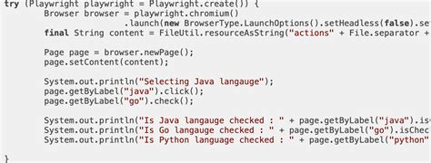 Programming For Beginners Playwright How To Check Whether A Checkbox