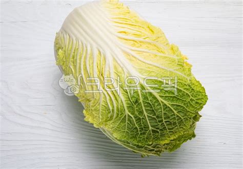 김치 김장 배추 배추김치 음식 사진 이미지 일러스트 캘리그라피 Carywoman작가