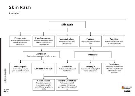 Skin Rash Pustular Blackbook Blackbook