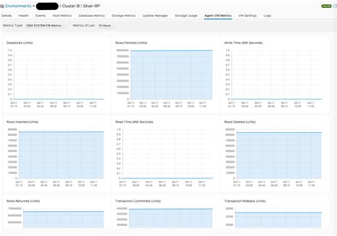 Monitoring And Metrics In Vmware Data Services Manager V14