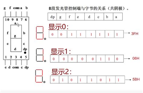 数码管的静态显示 数码管静态显示 csdn博客