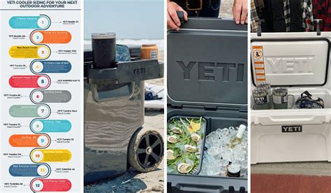 What Is The Most Popular Yeti Size All My Favs