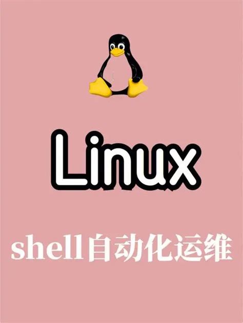 Linux Shell脚本编写实践：如何启动hiveserver 不念博客