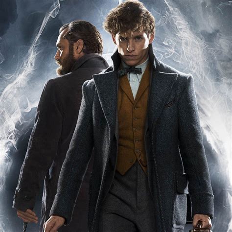 Fantastic Beasts And Where To Find Them Newt Scamander X Female Reader A Sneak Peek For